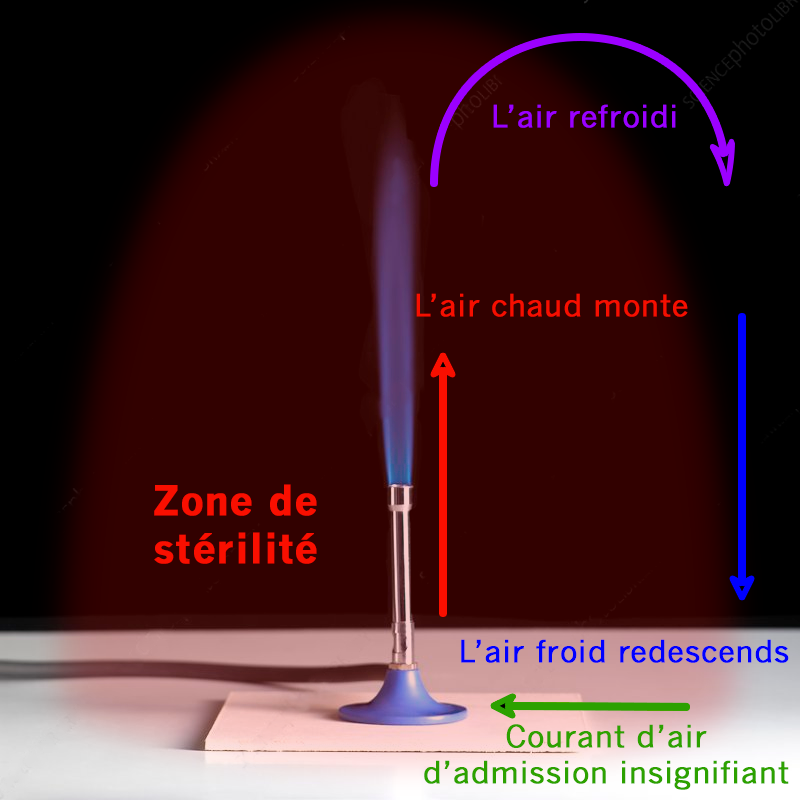 Bec Bunsen en myciculture : guide pratique complet